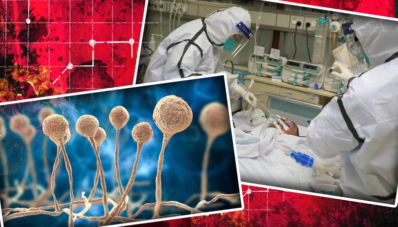 VIDEO - A fost raportat primul pacient cu ciupercă neagră din acest an ...