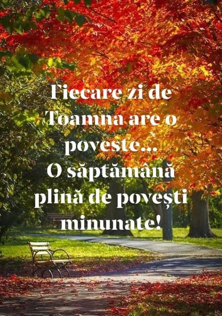 Mesaje septembrie 2022: Cele mai frumoase urări pentru prima zi de ...