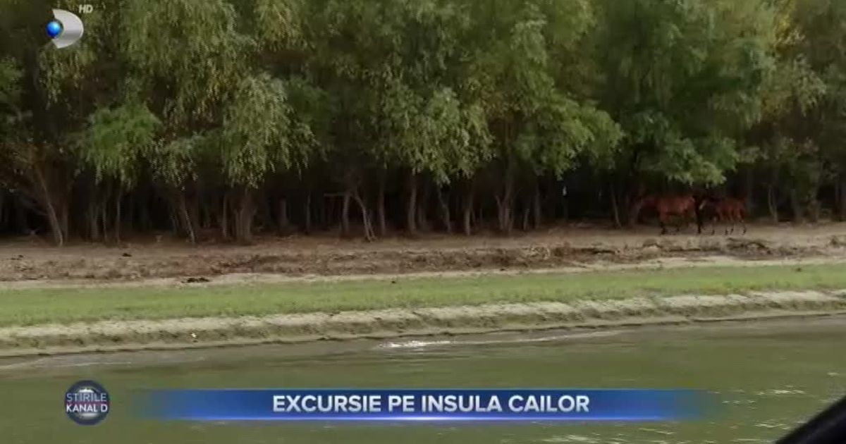 Excursie pe insula cailor - Stirile Kanal D