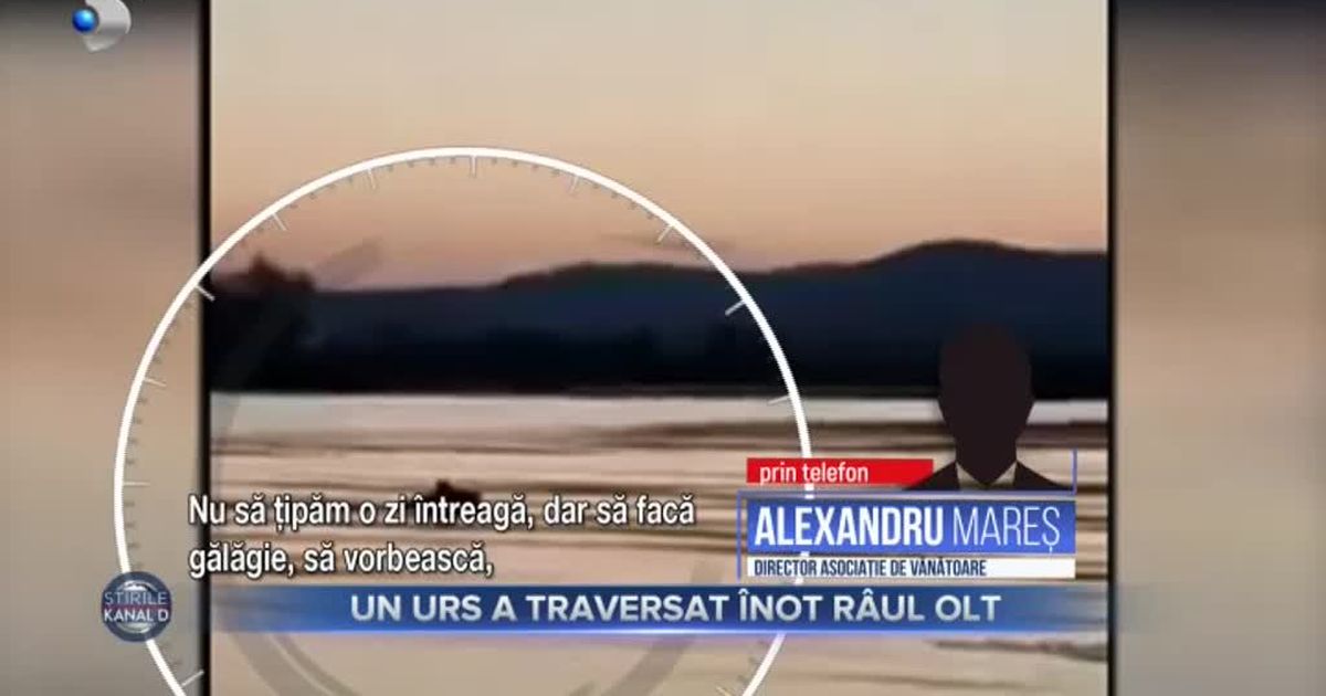 Un urs a traversat înot râul Olt - Stirile Kanal D