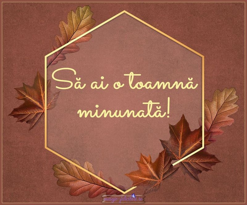 Mesaje de 1 septembrie 2022: Cele mai frumoase imagini cu text şi urări ...