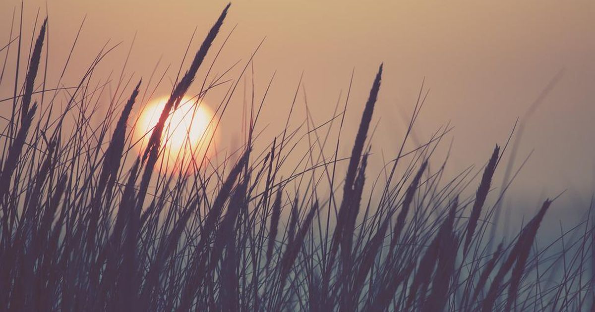 Vremea la mare în luna septembrie 2022 în Mamaia, Constanţa, Eforie ...