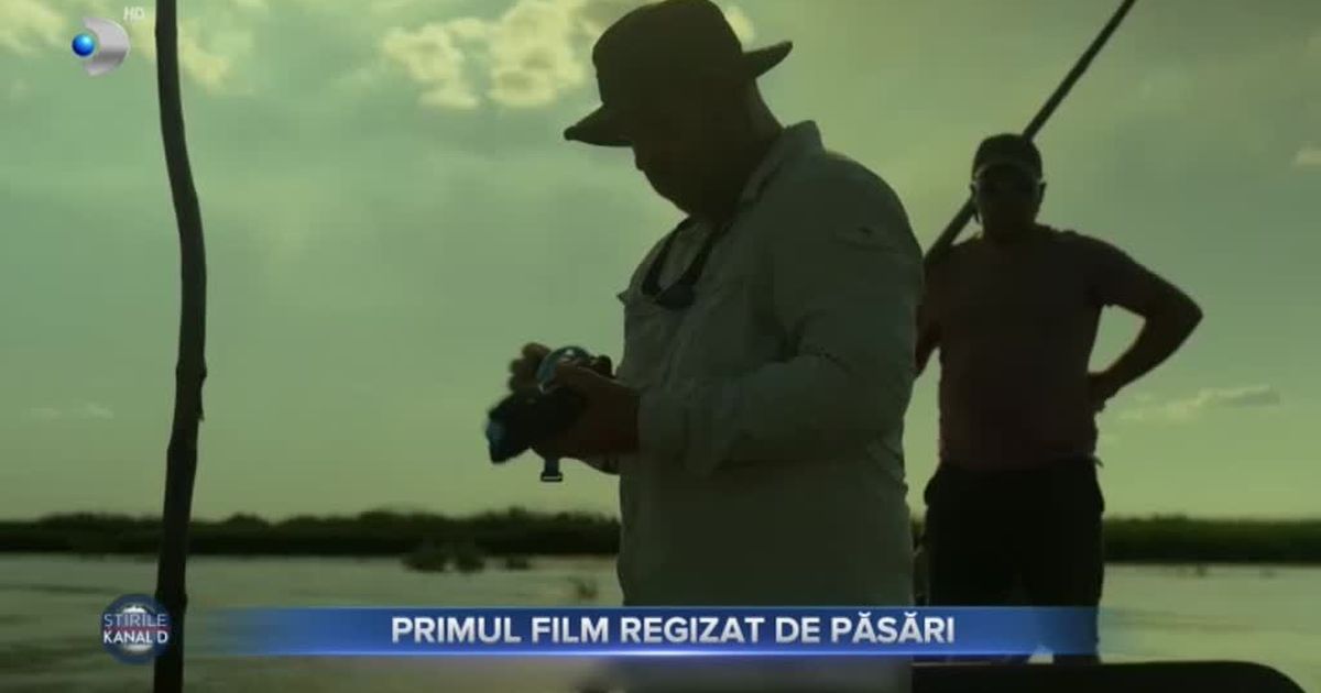Primul film regizat de păsări - Stirile Kanal D