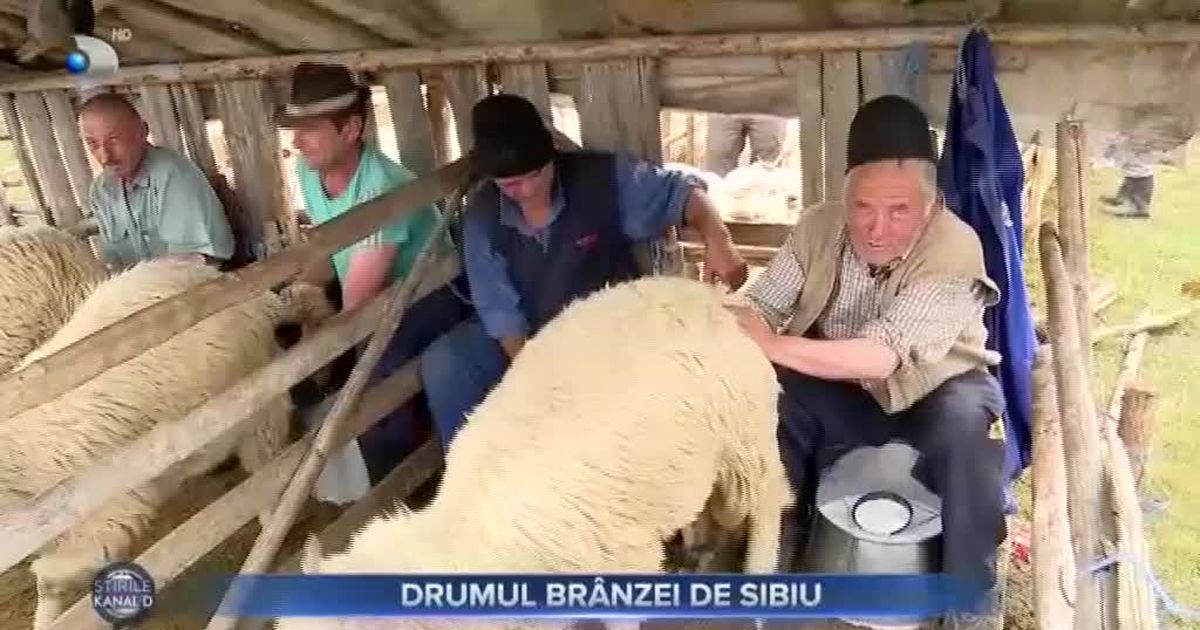 Învață lecția viitorului în școala trecutului - Stirile Kanal D