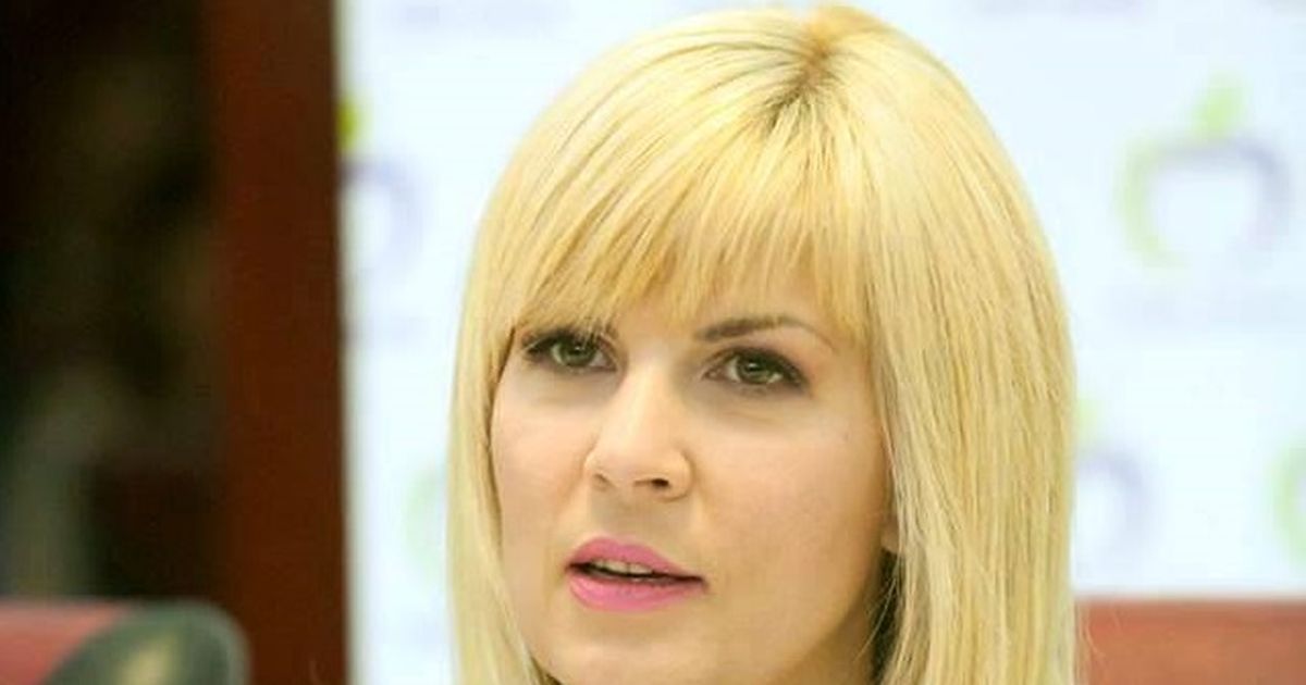 Elena Udrea cere ieșirea din penitenciar în ziua în care fiica ei împlinește 4 ani - Stirile Kanal D