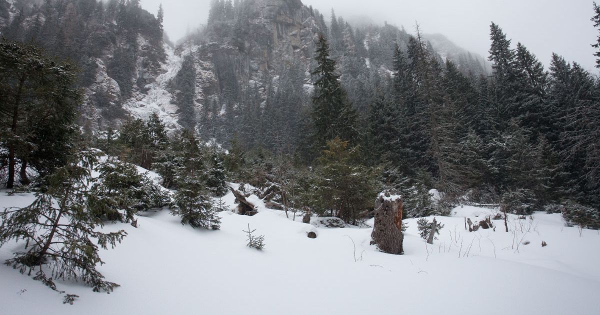 Iarnă în Bucegi. Ninge viscolit de luni noapte - Stirile Kanal D