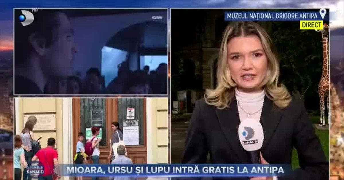 Mioara, Ursu și Lupu intră gratis la Antipa - Stirile Kanal D