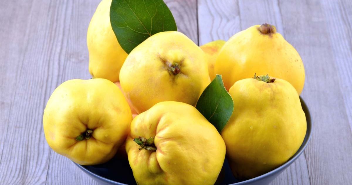 Rețetă tradițională de dulceață de gutui. Iată cum se prepară ...