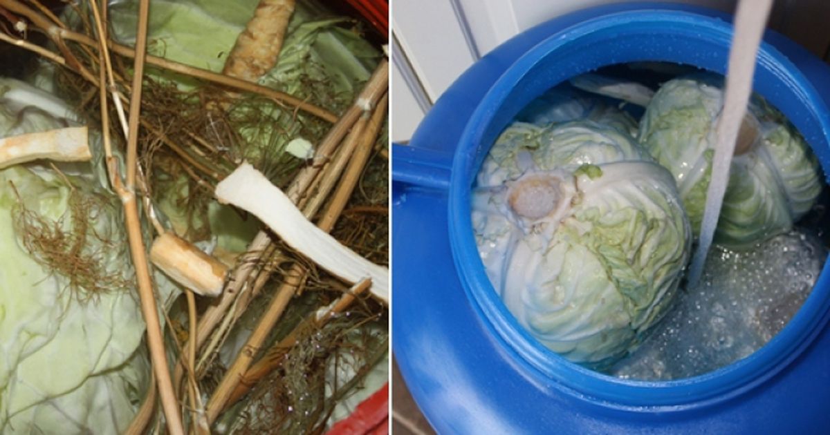 Rețeta bunicii de varză murată la butoi pentru iarnă - Stirile Kanal D