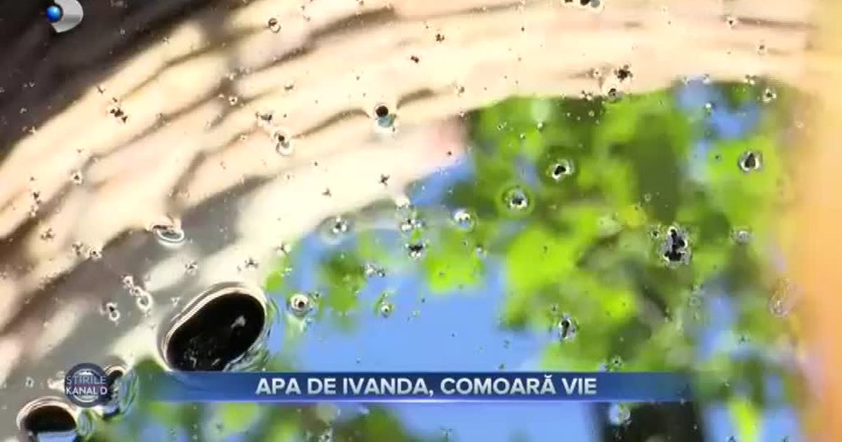 Apa de ivanda, comoară vie - Stirile Kanal D
