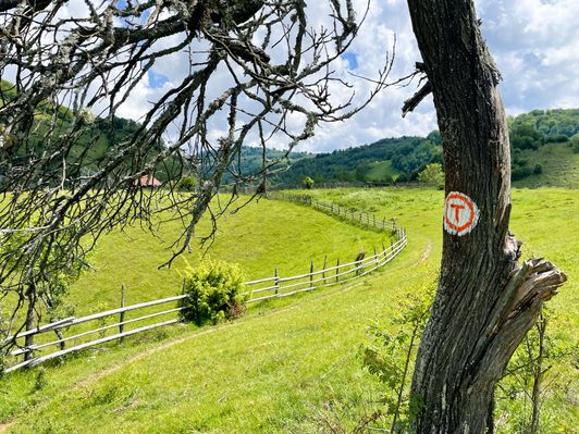 Tot ce trebuie să știi despre Via Transilvanica: Traseu, hartă, ghidul ...