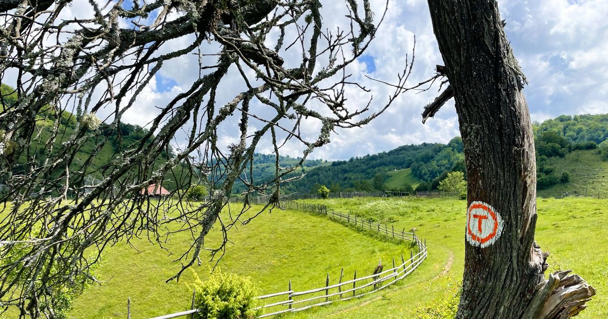 Tot ce trebuie să știi despre Via Transilvanica: Traseu, hartă, ghidul ...