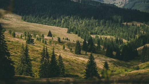 Tot ce trebuie să știi despre Via Transilvanica: Traseu, hartă, ghidul ...