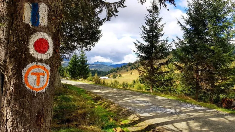 Tot ce trebuie să știi despre Via Transilvanica: Traseu, hartă, ghidul ...