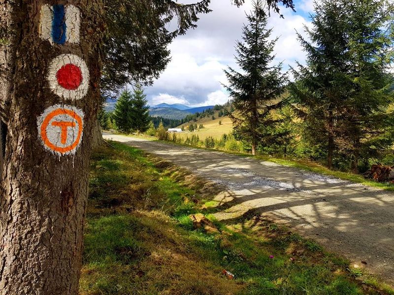 Tot ce trebuie să știi despre Via Transilvanica: Traseu, hartă, ghidul ...