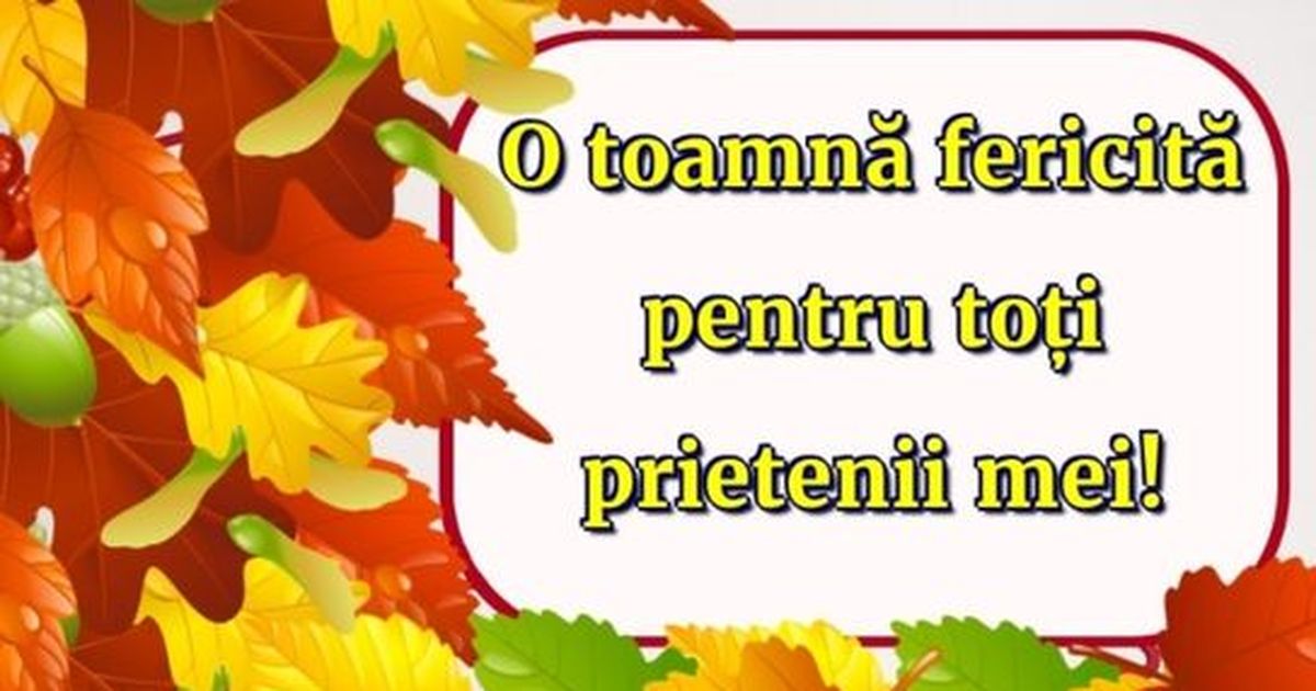 Mesaje pentru luna noiembrie 2022: Felicitări frumoase pentru reţetete ...
