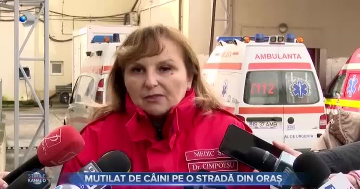 Mutilat de câini pe o stradă din oraș - Stirile Kanal D