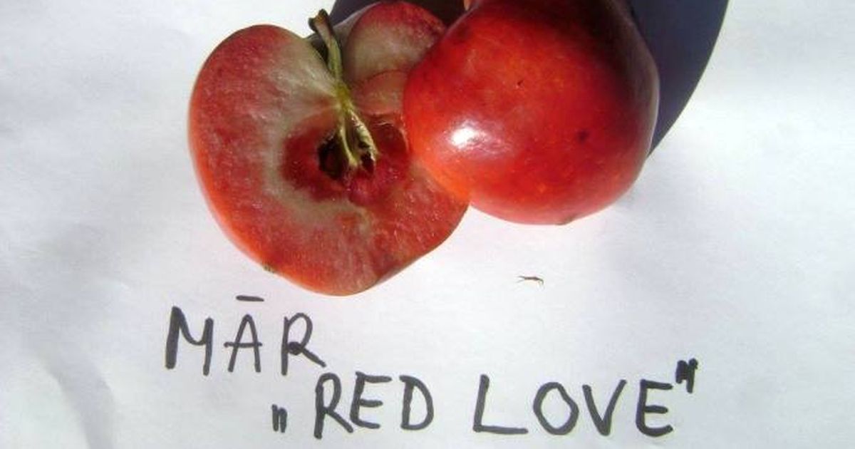 Acesta este mărul care are cele mai multe beneficii pentru sistemul ...