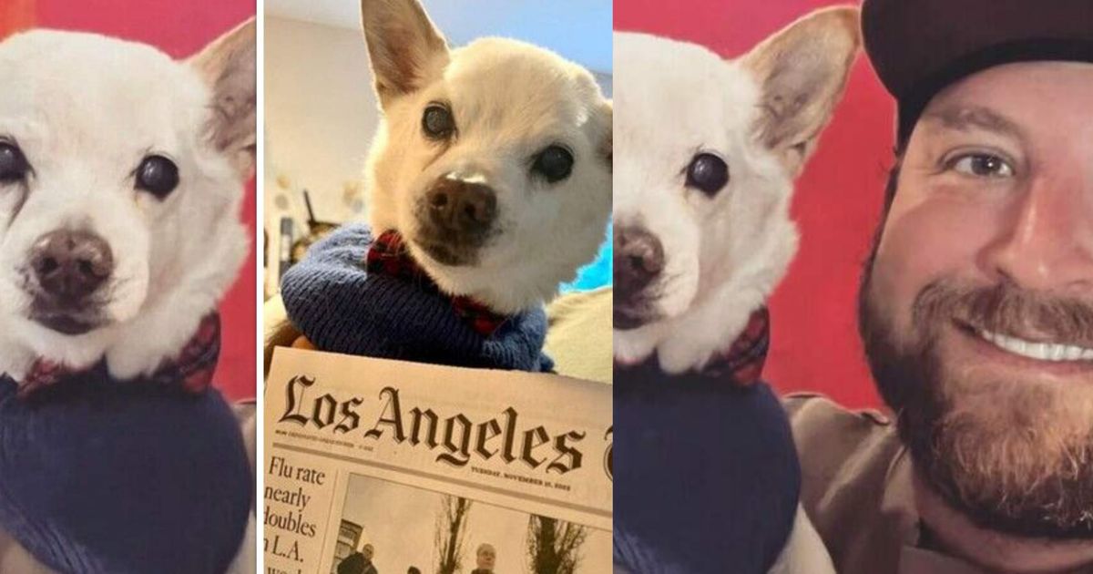 Gino, cel mai bătrân câine american. Are peste 22 de ani - Stirile Kanal D