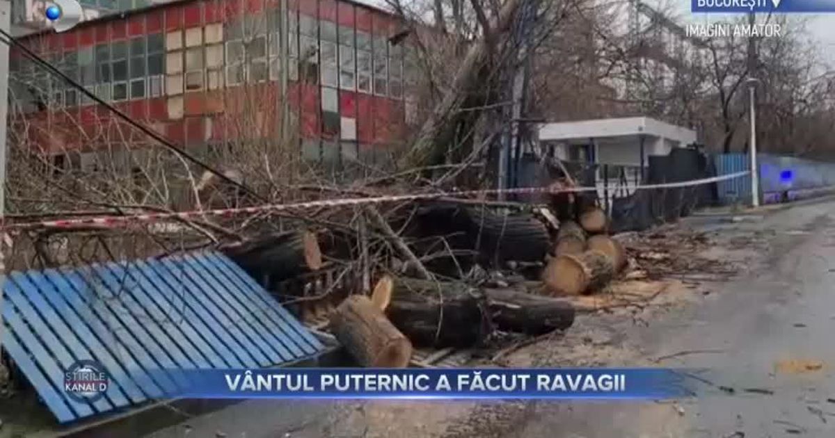 Vântul puternic a făcut ravagii - Stirile Kanal D