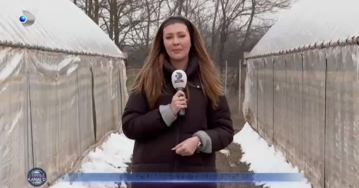 Gerul scumpește trufundalele - Stirile Kanal D