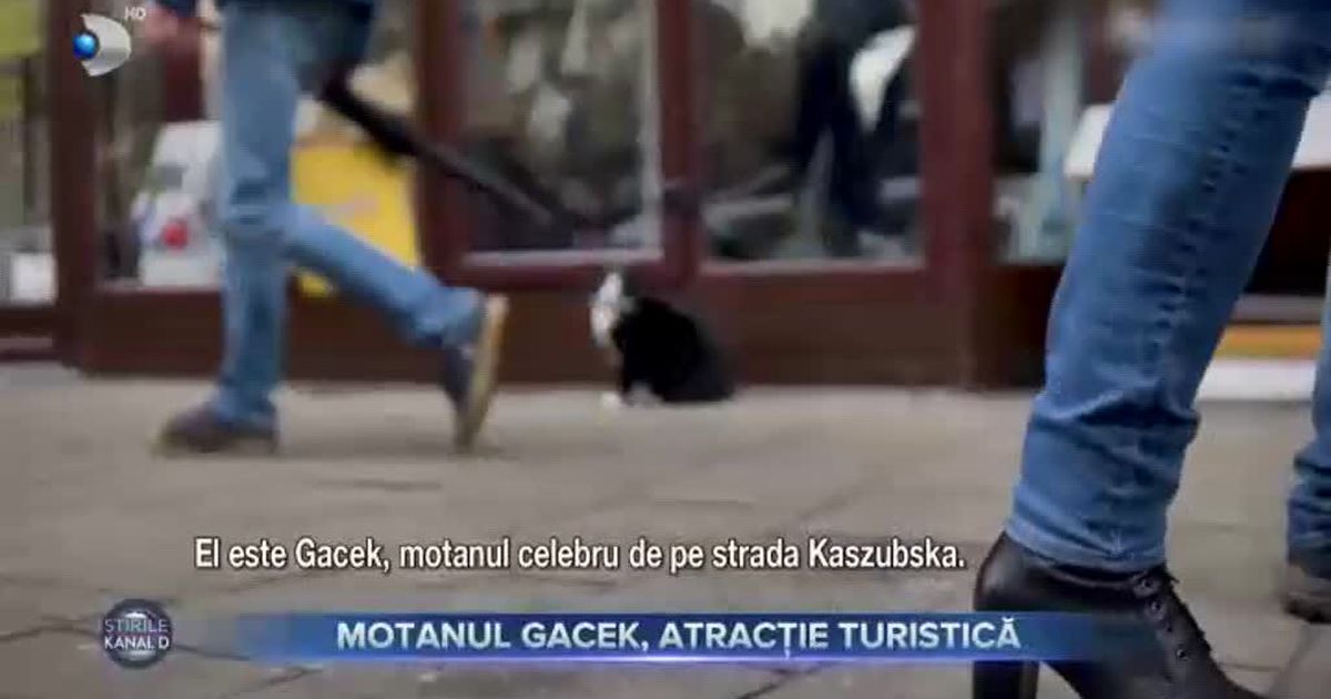 Motanul Gacek, atracție turistică - Stirile Kanal D