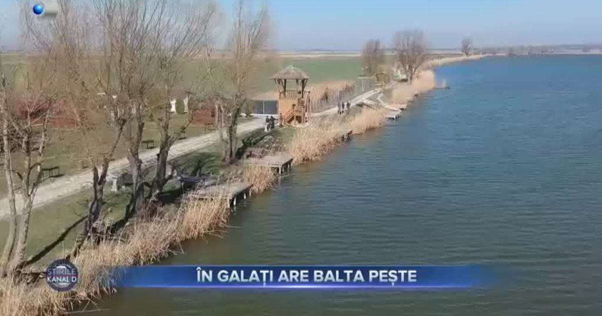 În Galați are balta pește - Stirile Kanal D
