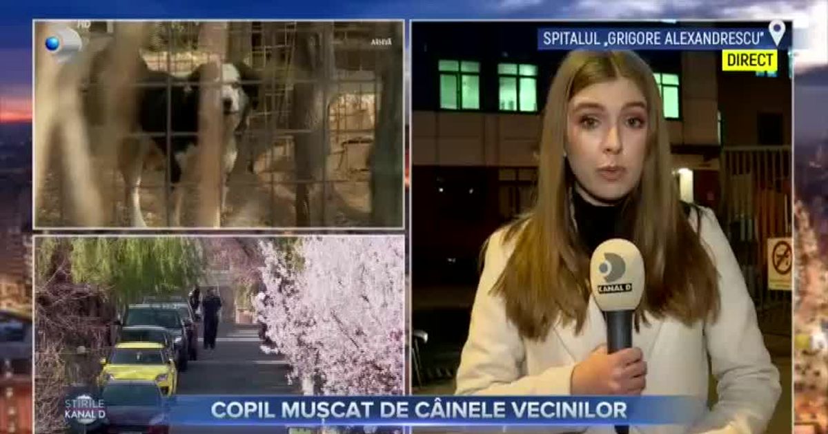 Copil mușcat de câinele vecinilor - Stirile Kanal D