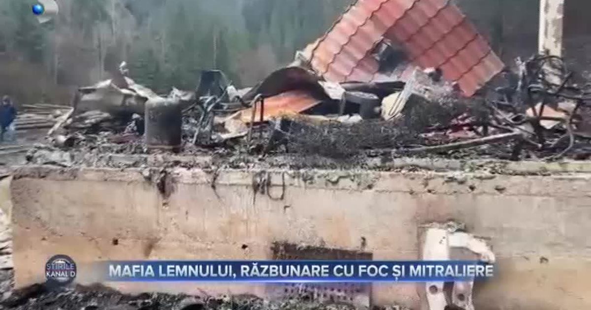 Mafia lemnului, răzbunare cu foc și mitraliere - Stirile Kanal D