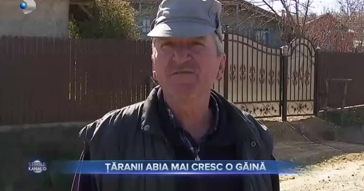 Țăranii abia mai cresc o găină - Stirile Kanal D