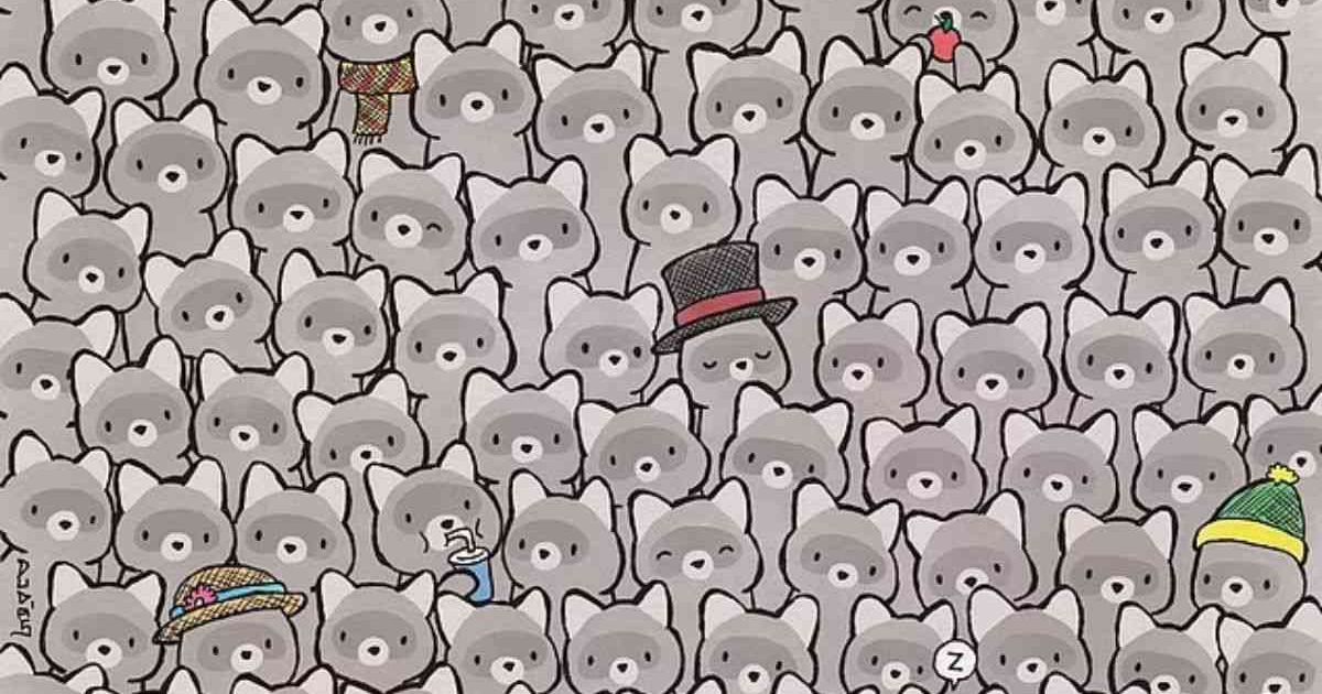 Doar cei cu un IQ ridicat pot găsi pisica între ratoni în maxim 15 ...