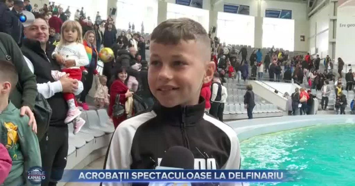 VIDEO- Acrobații spectaculoase la Delfinariul din Constanța - Stirile ...