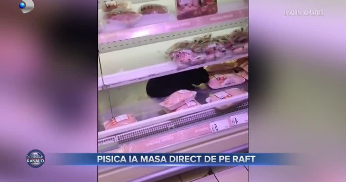 Pisica ia masa direct de pe raft - Stirile Kanal D