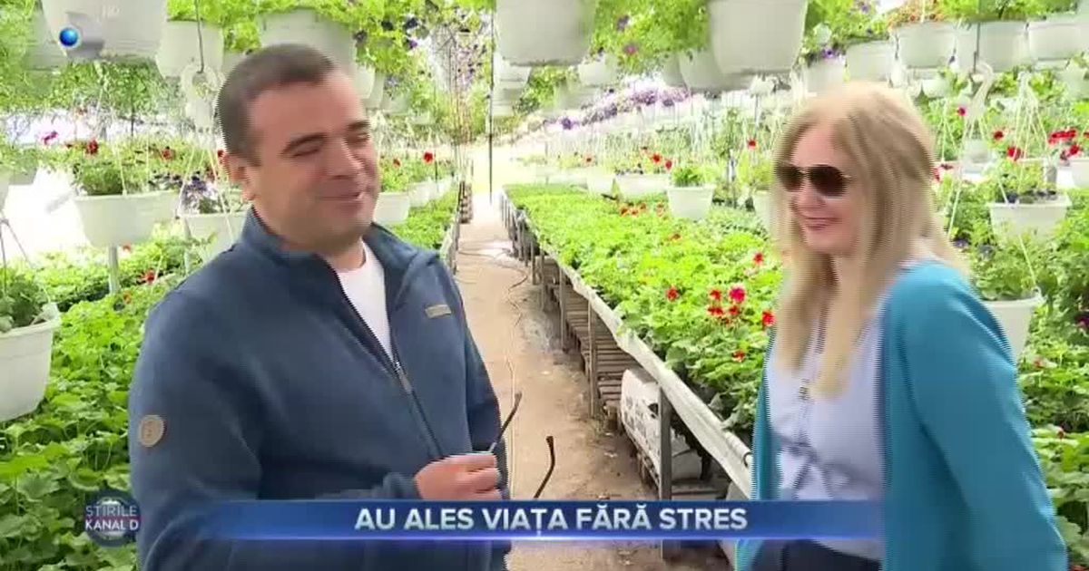 Au ales viața fără stres - Stirile Kanal D