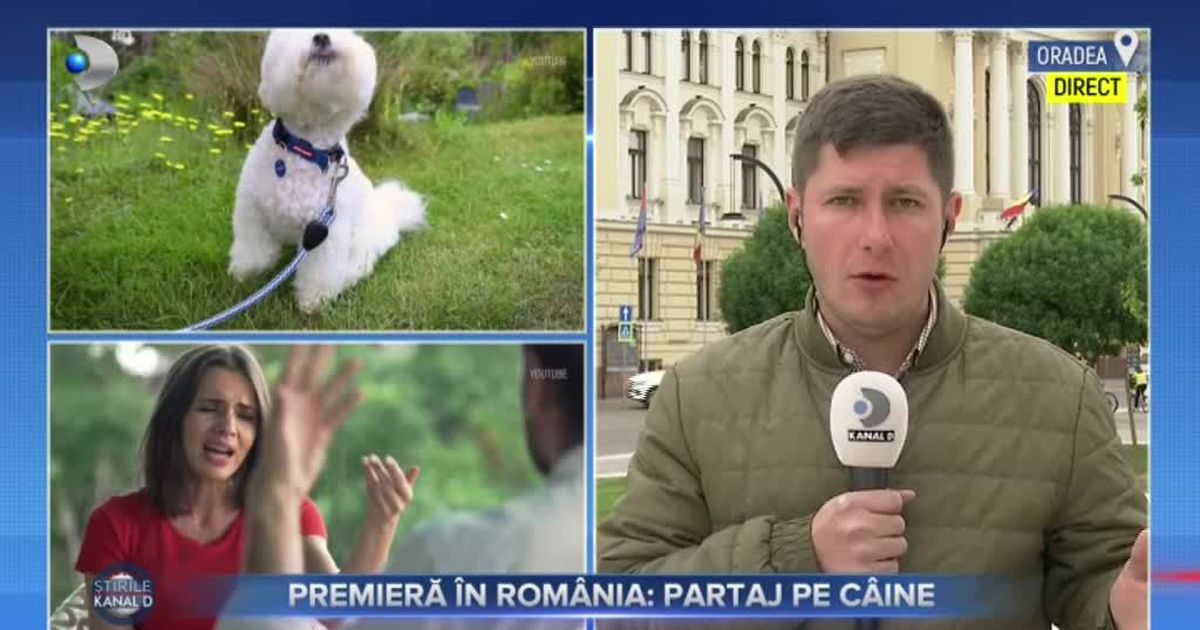 Premieră în România - Partaj pe câine - Stirile Kanal D