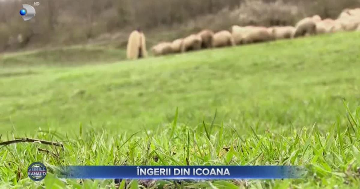 Îngerii din Icoana - Stirile Kanal D