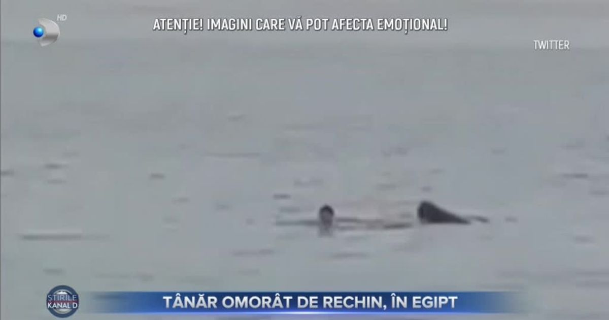 Tânăr omorât de rechin, în Egipt - Stirile Kanal D
