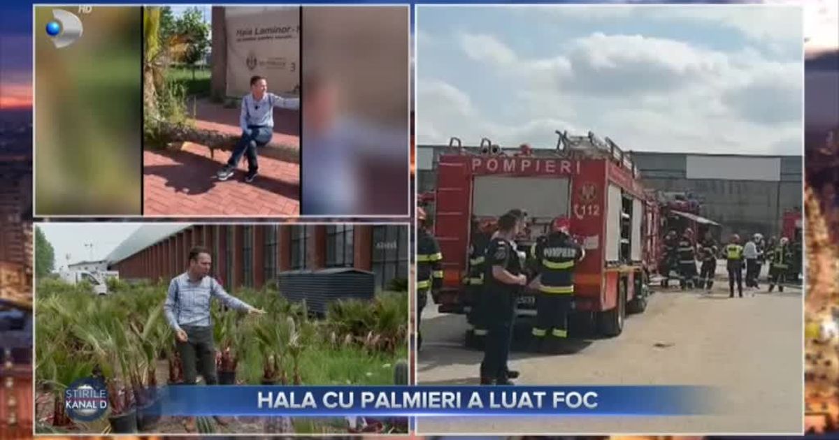 Hala cu palmieri a luat foc - Stirile Kanal D