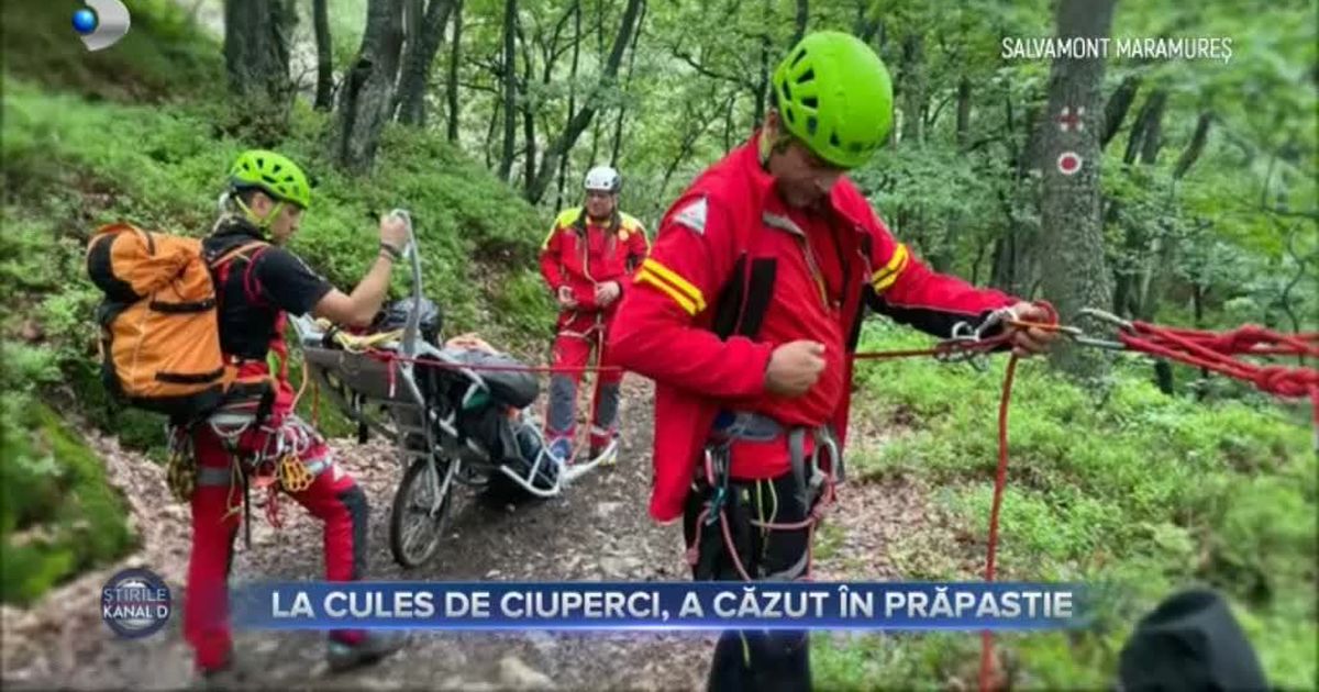 La cules de ciuperci, a căzut în prăpastie - Stirile Kanal D