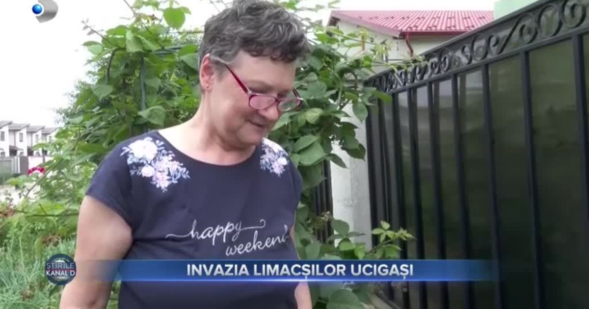 Invazia limacșilor ucigași - Stirile Kanal D