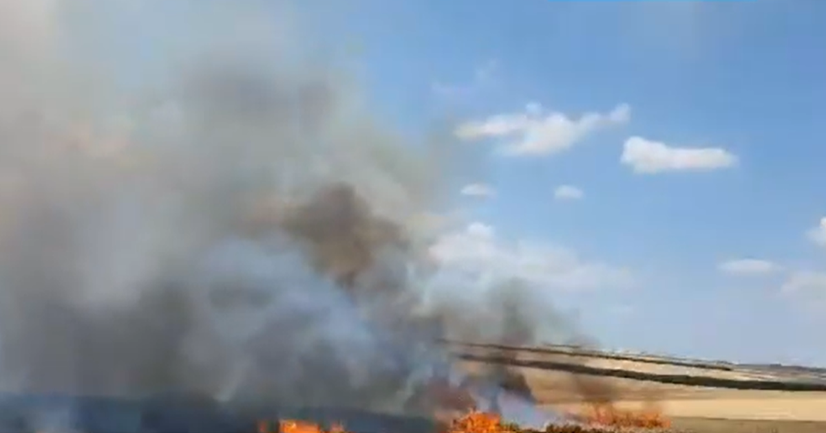 Zeci de hectare de grâu au fost mistuite de flăcări, în urma unor ...