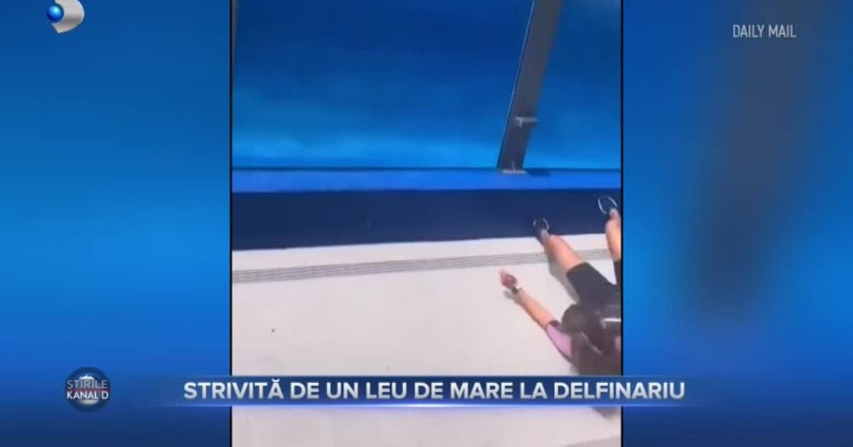 VIDEO - Era la un pas să-și piardă viața. Un leu de mare s-a prăbușit ...