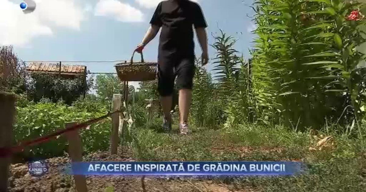 Afacere inspirată de grădina bunicii - Stirile Kanal D