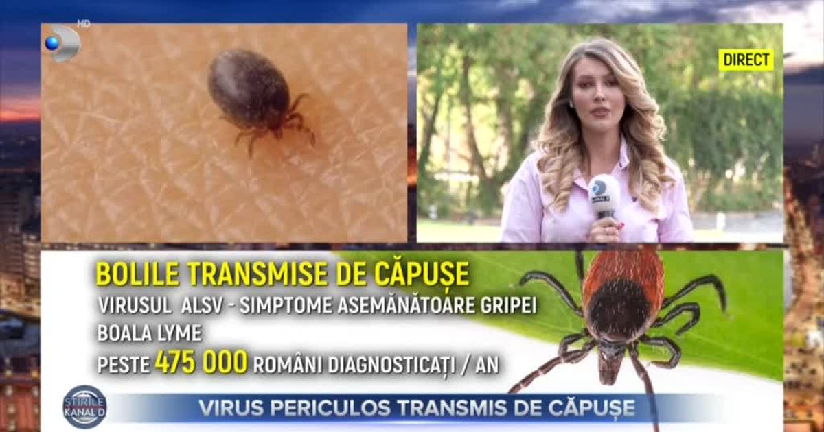 VIDEO- Virus periculos transmis de căpușe - Stirile Kanal D