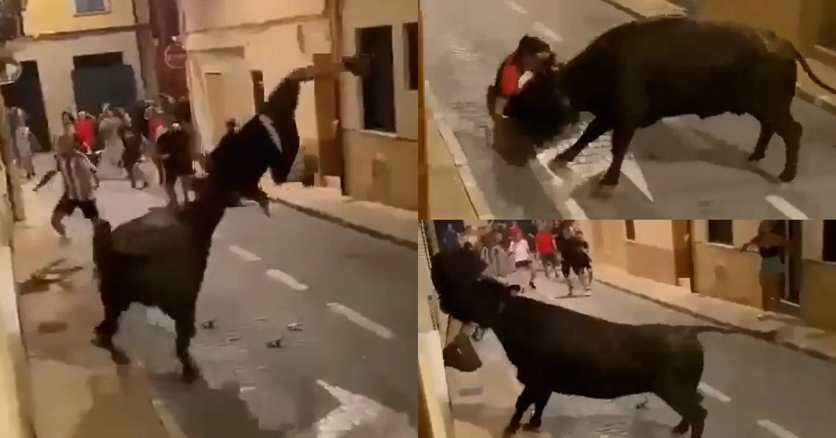 Momente de coșmar chiar în plină stradă! Un taur furios a atacat un ...