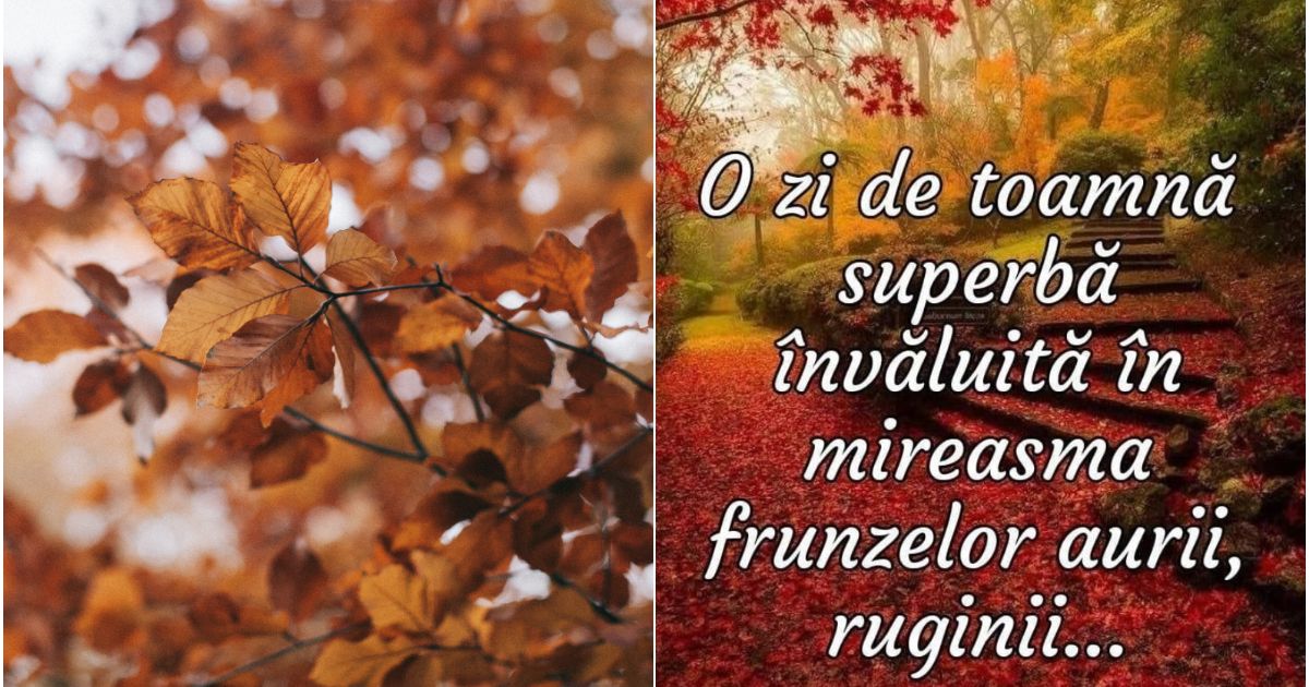 Mesaje de toamnă 2023: Cele mai frumoase urări pentru ziua de 1 septembrie: „În această toamnă ...
