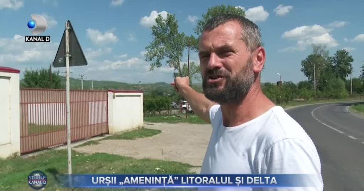 VIDEO - Urșii „amenință” litoralul și Delta - Avertismentul unui primar ...