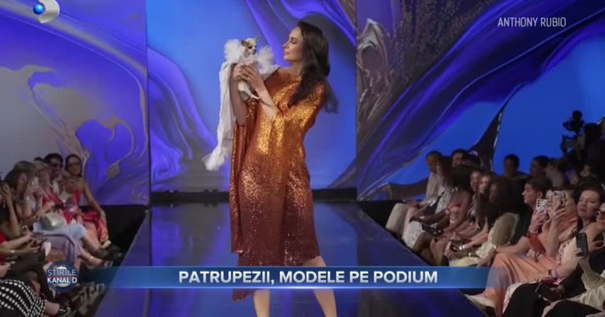 VIDEO - Patrupezii, modele pe podium. Pieptănaţi şi aranjaţi, micuții ...