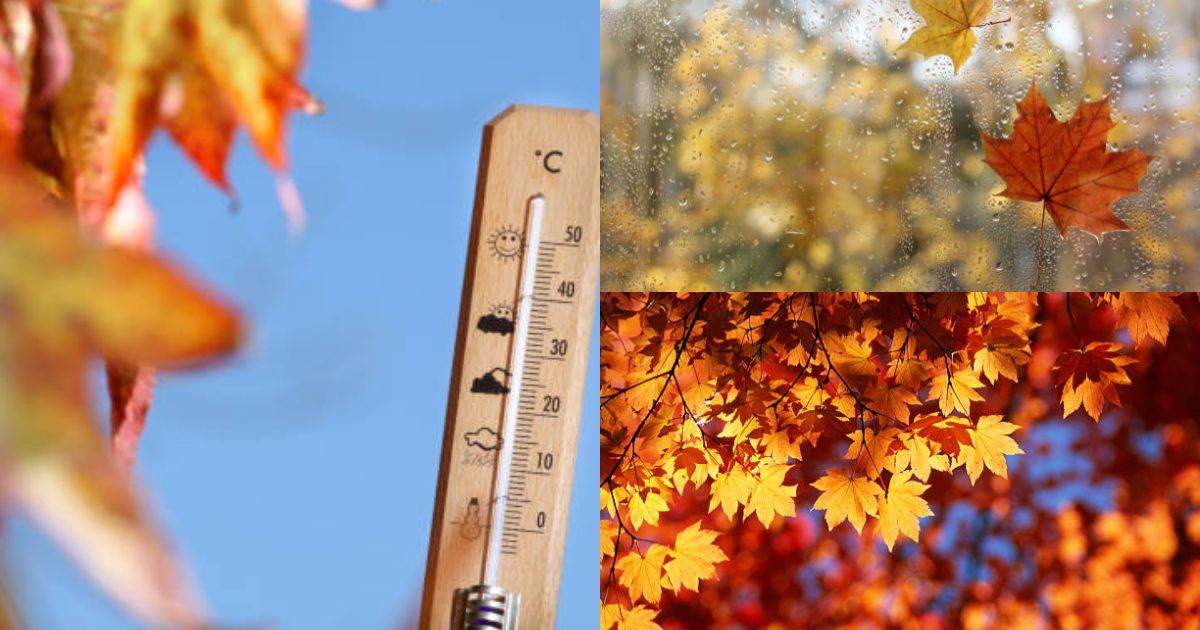 Vremea în octombrie 2023: Prognoza meteo pentru a doua lună de toamnă - Stirile Kanal D