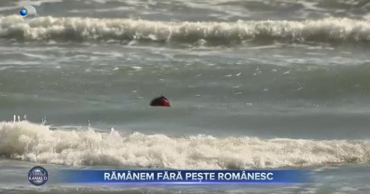 VIDEO - Peștele românesc, pe cale de dispariție - Stirile Kanal D